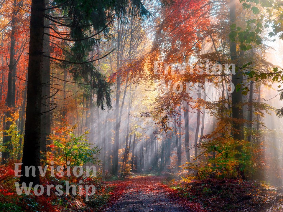 Gorgeous Autumn Worship Slides with stunning Fall Colors - New