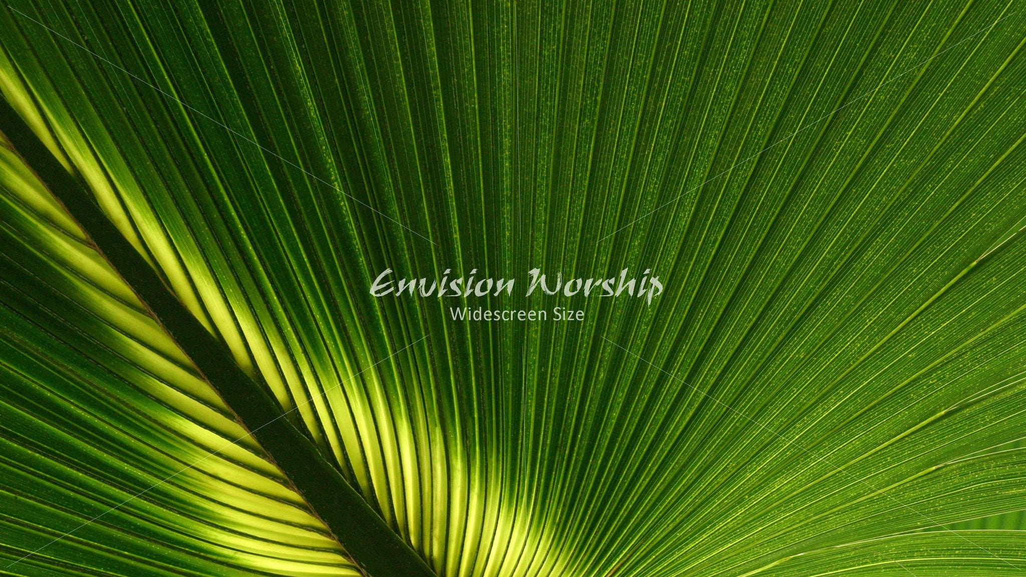 Gorgeous Palm Sunday PowerPoint Slides ~ Wow Your Church