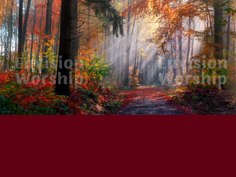 Gorgeous Autumn Worship Slides with stunning Fall Colors - New