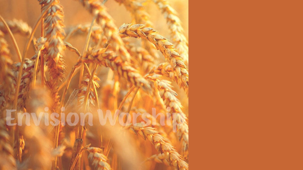 Gorgeous Harvest Wheat Church Slides - Easy to use
